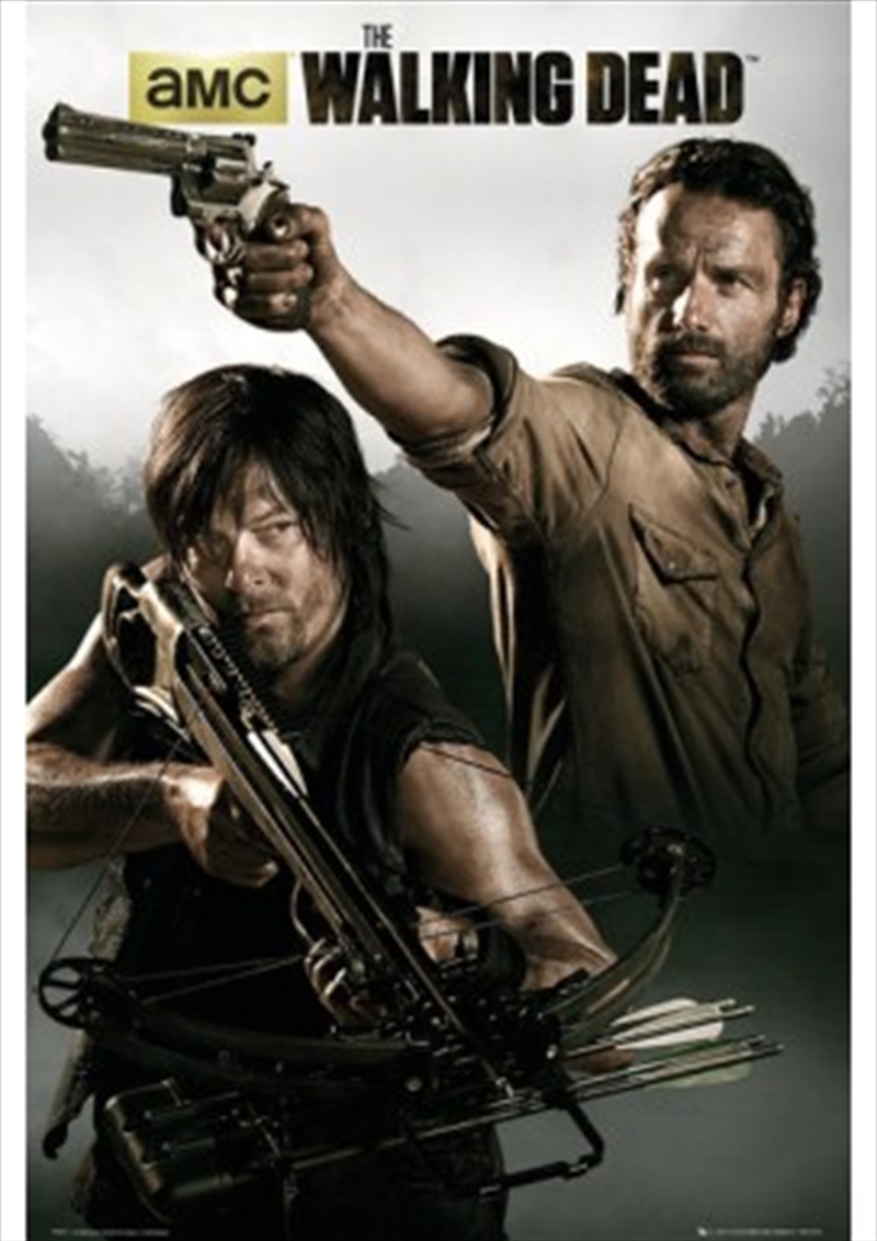 Buy The Walking Dead Rick and Daryl Banner Poster in Posters | Sanity