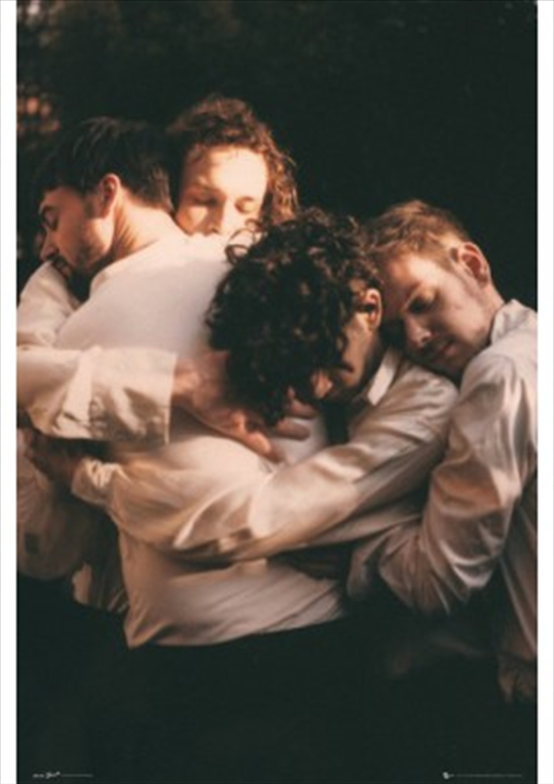Buy The 1975 Hug Poster in Posters | Sanity