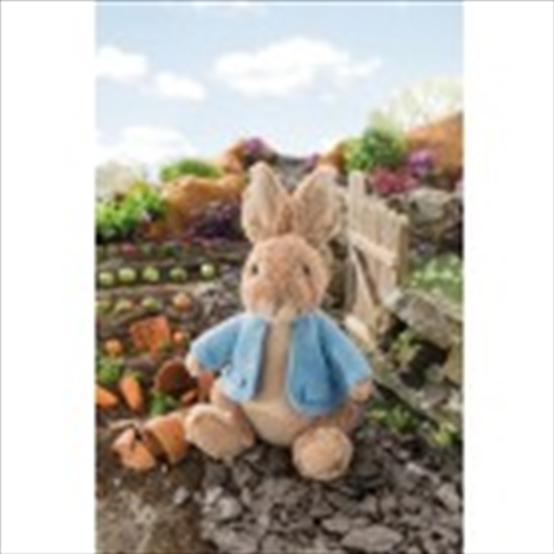 Buy Peter Rabbit Plush 30cm, Toys | Sanity