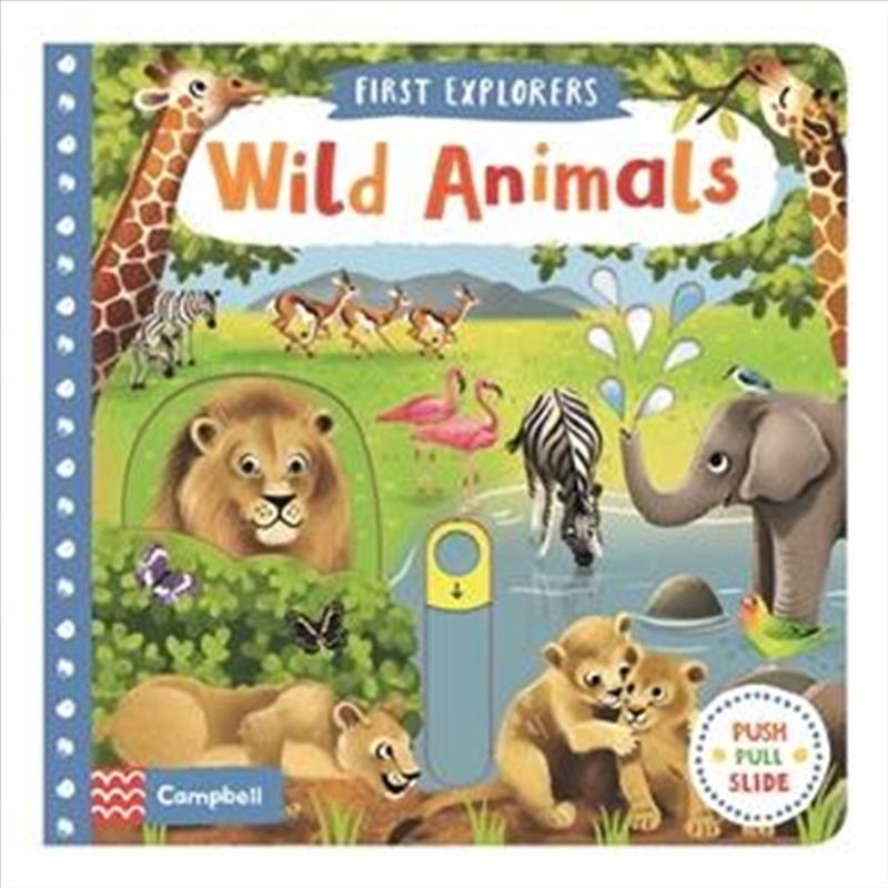 Buy Wild Animals - First Explorers by Jenny Wren, Books | Sanity