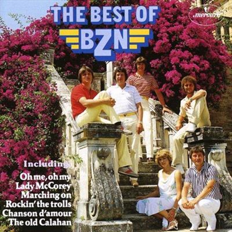 Buy Best Of Bzn (de Hits In Beeld) Online | Sanity