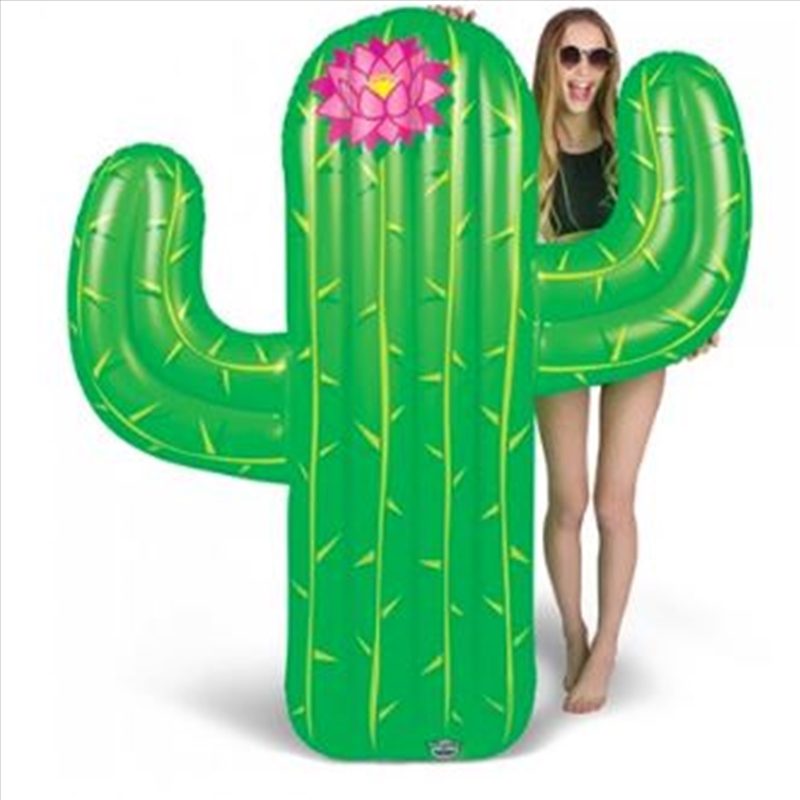 Buy BigMouth Giant Cactus Pool Float | Sanity
