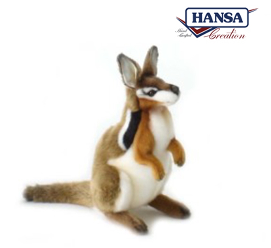Buy Cresent Nailtail Wallaby 25cm Plush Toy, Toys | Sanity