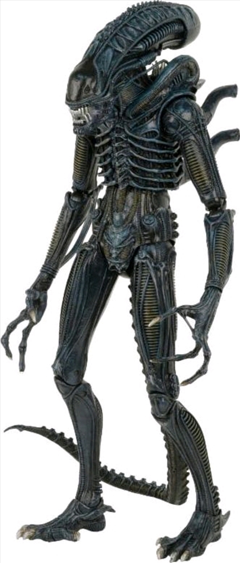 Buy Aliens - Alien Warrior 1986 1:4 Scale Action Figure Online | Sanity