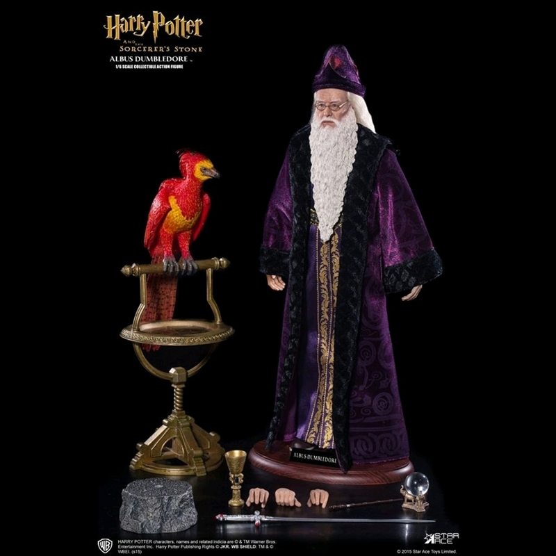 Buy Harry Potter - Albus Dumbledore with Fawkes 12" 1:6 Scale Action ...