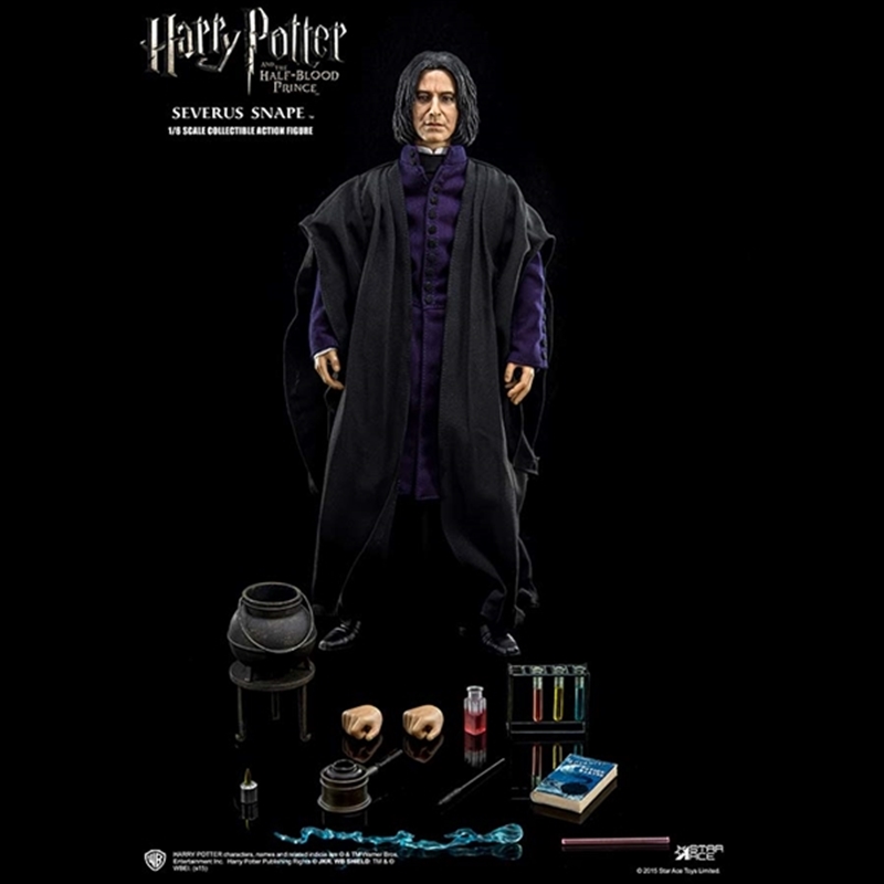 Buy Harry Potter - Severus Snape 1:6 Scale Action Figure Online | Sanity