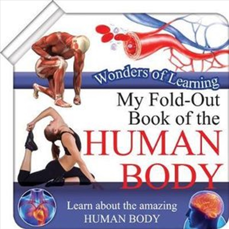 Buy Wonders of Learning Fold out Book Human Body by Lake Press, Books ...