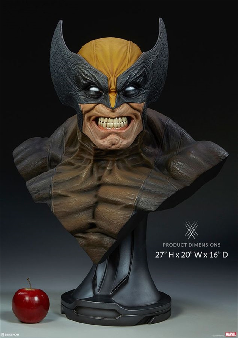 Buy X-Men - Wolverine Life-Size Bust in Merchandise | Sanity