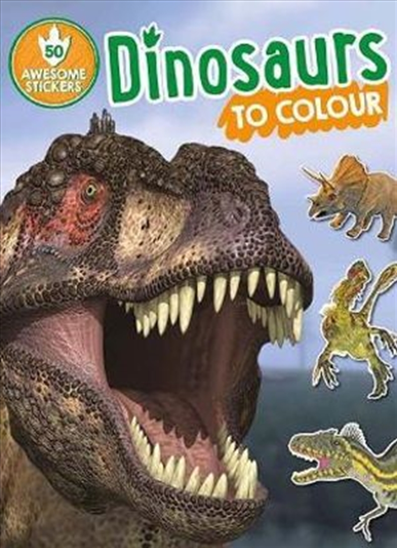 Buy Dinosaurs to Colour by Lake Press, Books | Sanity