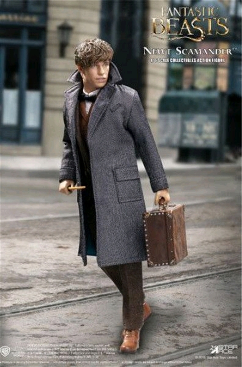 Buy Fantastic Beasts - Newt Scamander (Grey coat) 1:6 Scale Action ...