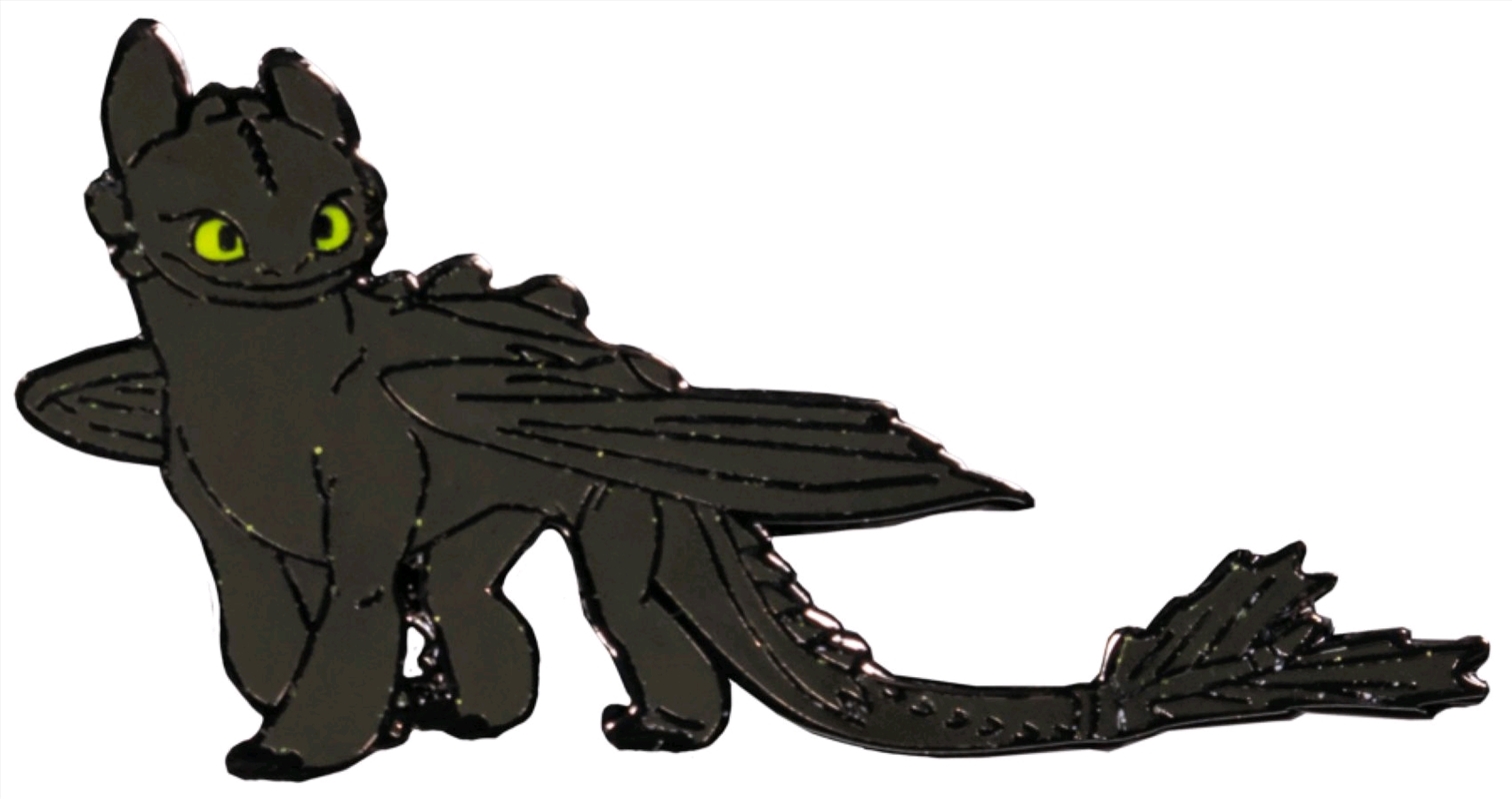 How to Train your Dragon - Toothless Enamel Pin | Sanity