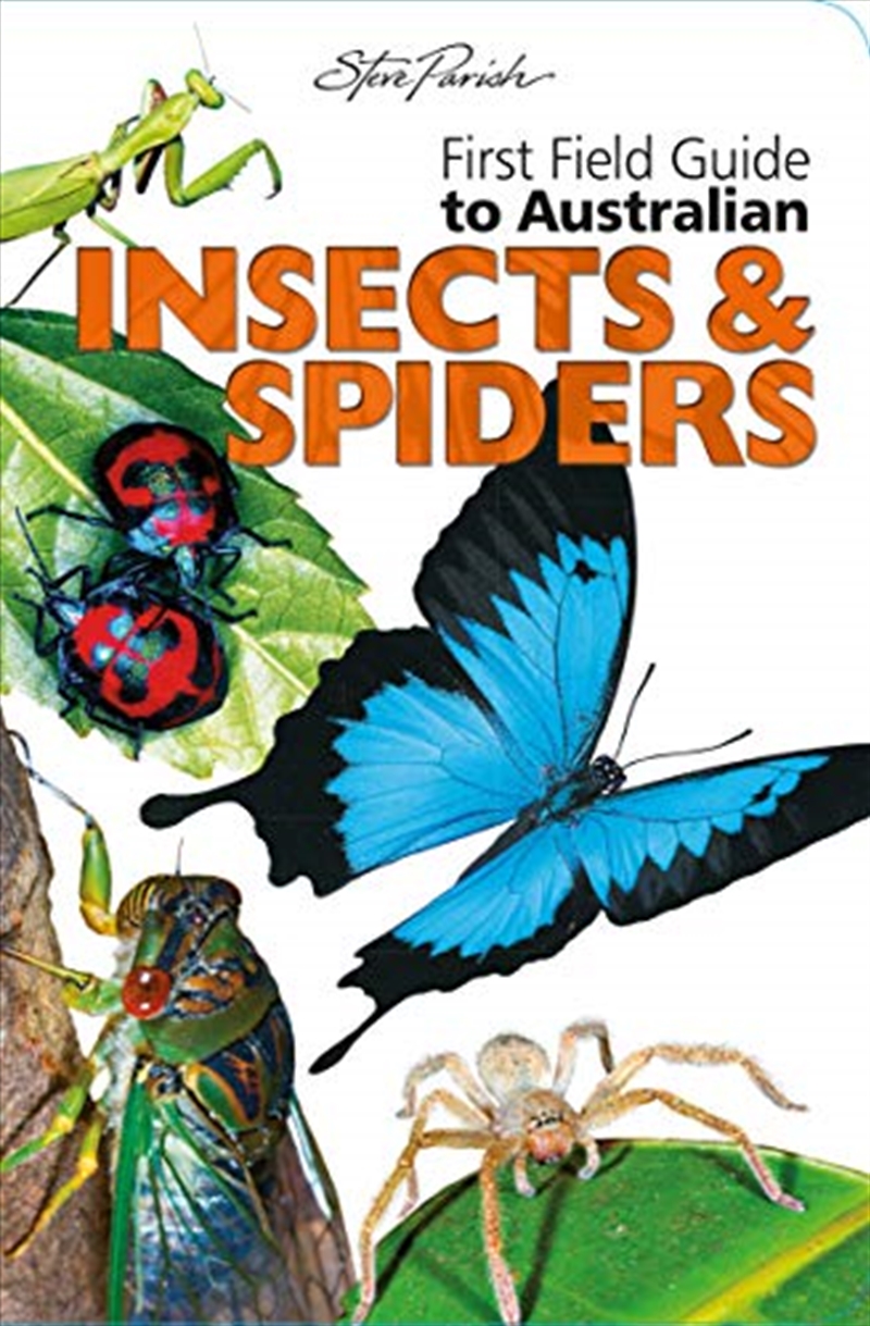 Buy Steve Parish First Field Guides: Australian Insects & Spiders Online | Sanity