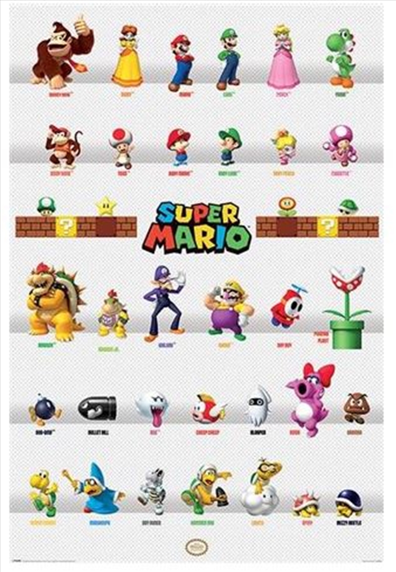 Buy Super Mario - Characters Parade Poster in Posters | Sanity