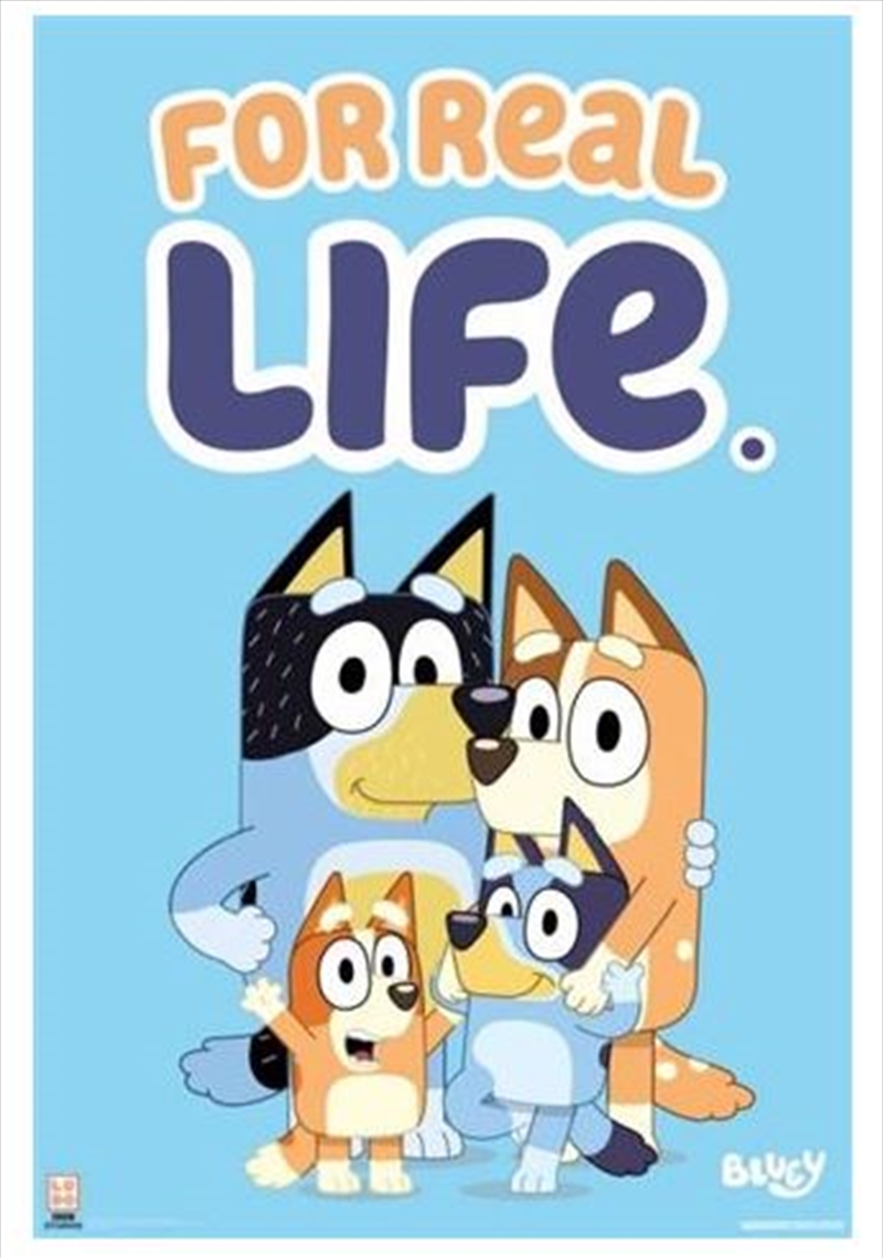 Bluey For Real Life Poster | Sanity