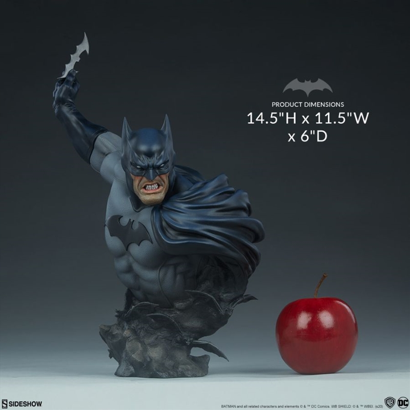 Batman - Batman Bust, Figurines & Statues | Sanity