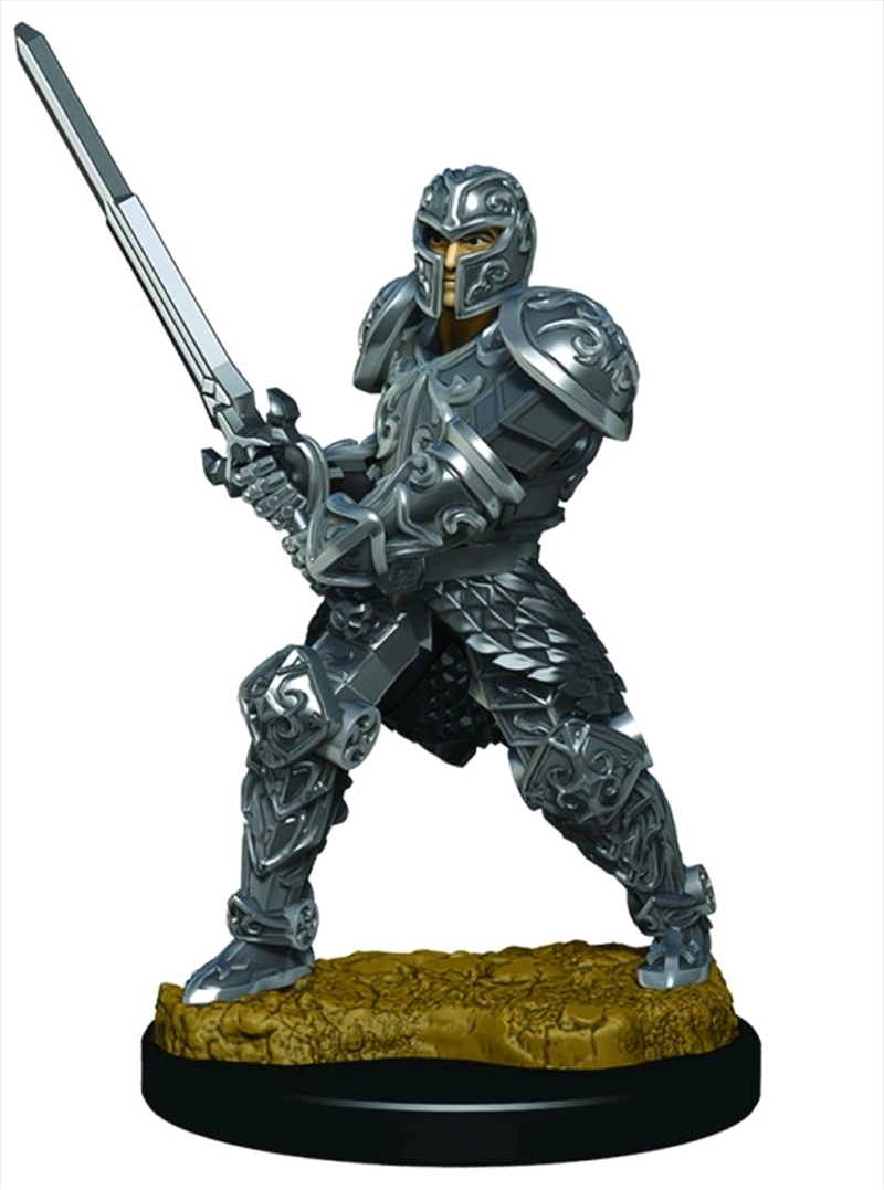Buy Dungeons & Dragons - Icons of the Realms Male Human Fighter Premium ...
