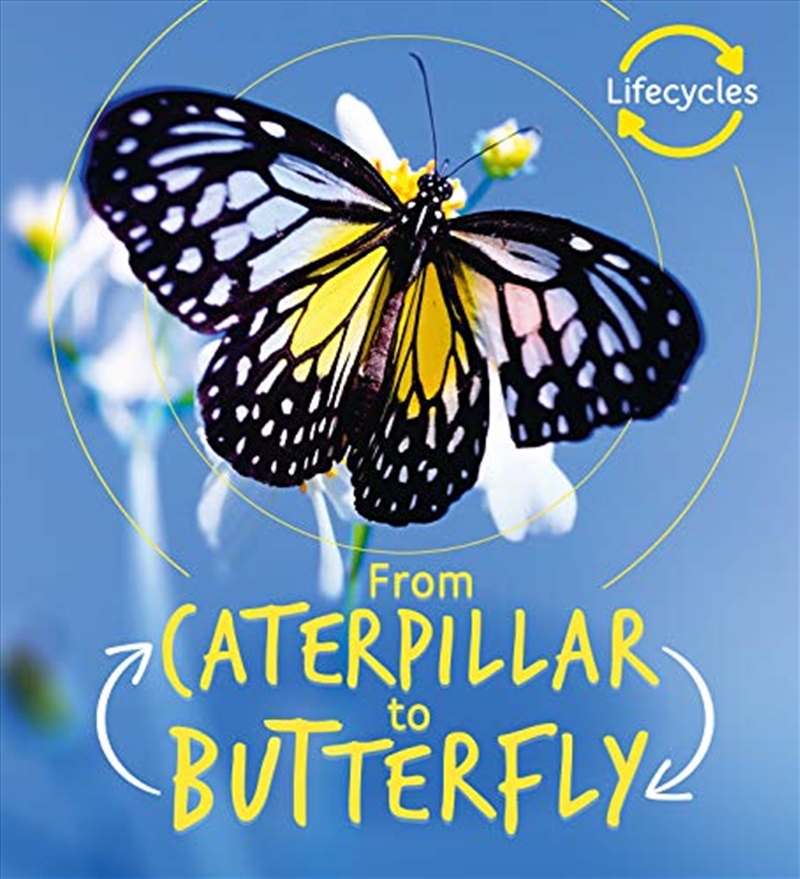 Buy Lifecycles: Caterpillar To But- Camilla De La Bedoyere | Sanity