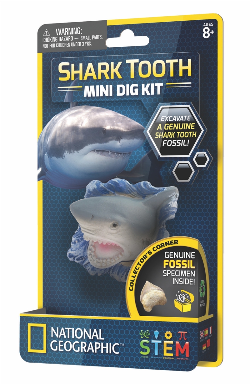 Buy National Geographic Shark Tooth Mini Dig Activity Kit | Sanity