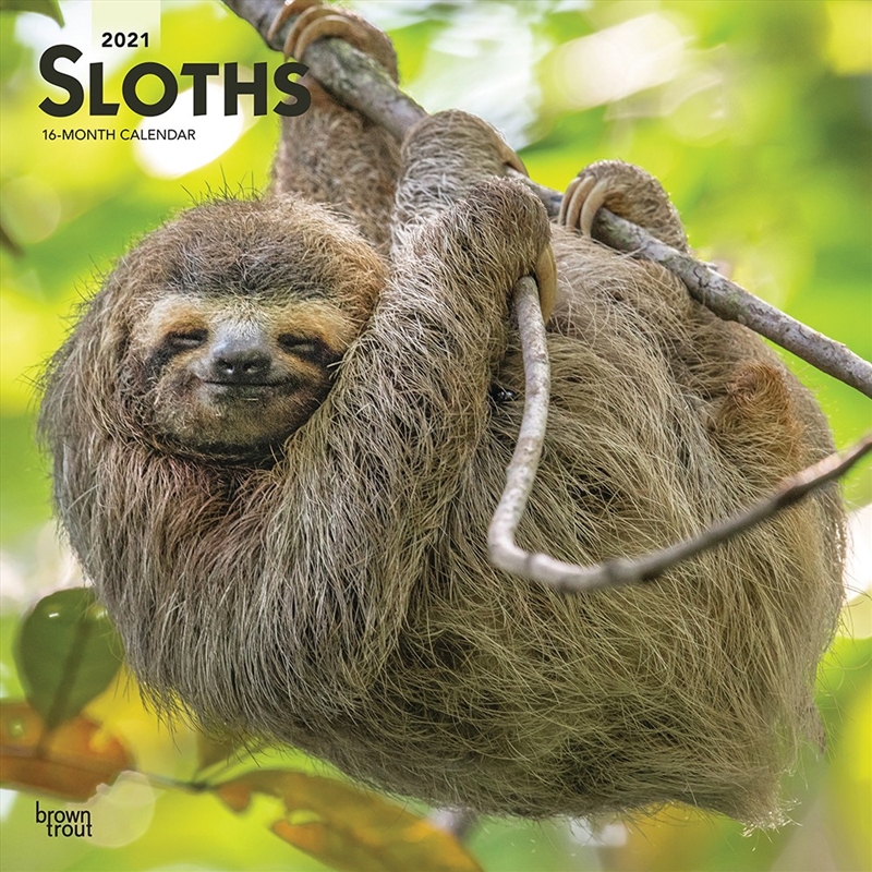 Sloths 2021 Square Calendar Merchandise | Sanity