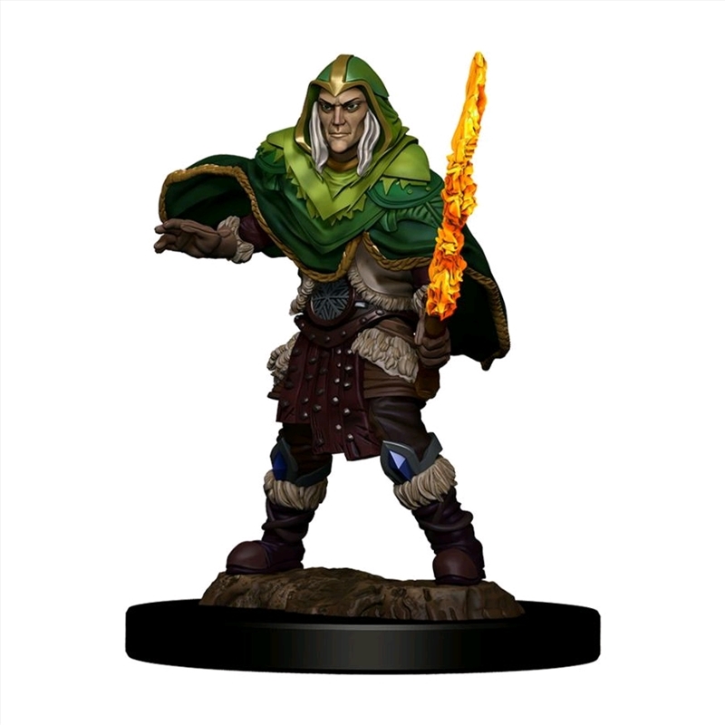 Dungeons & Dragons - Icons of the Realms Premium Elf Fighter Male RPG ...