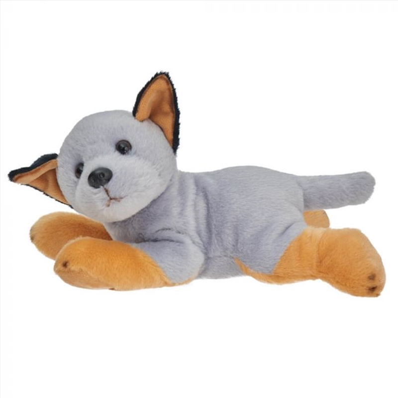 Buy Dog: Milo Blue Heeler 25cm Plush Toy | Sanity