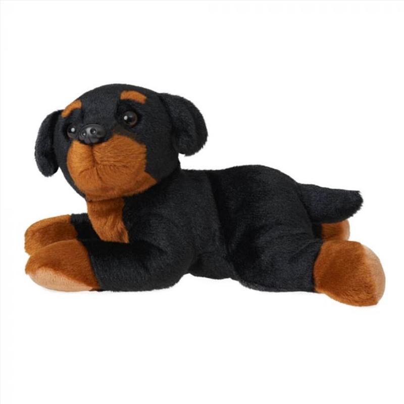 Buy Dog: Dexter Rottweiler 25cm Plush Toy | Sanity