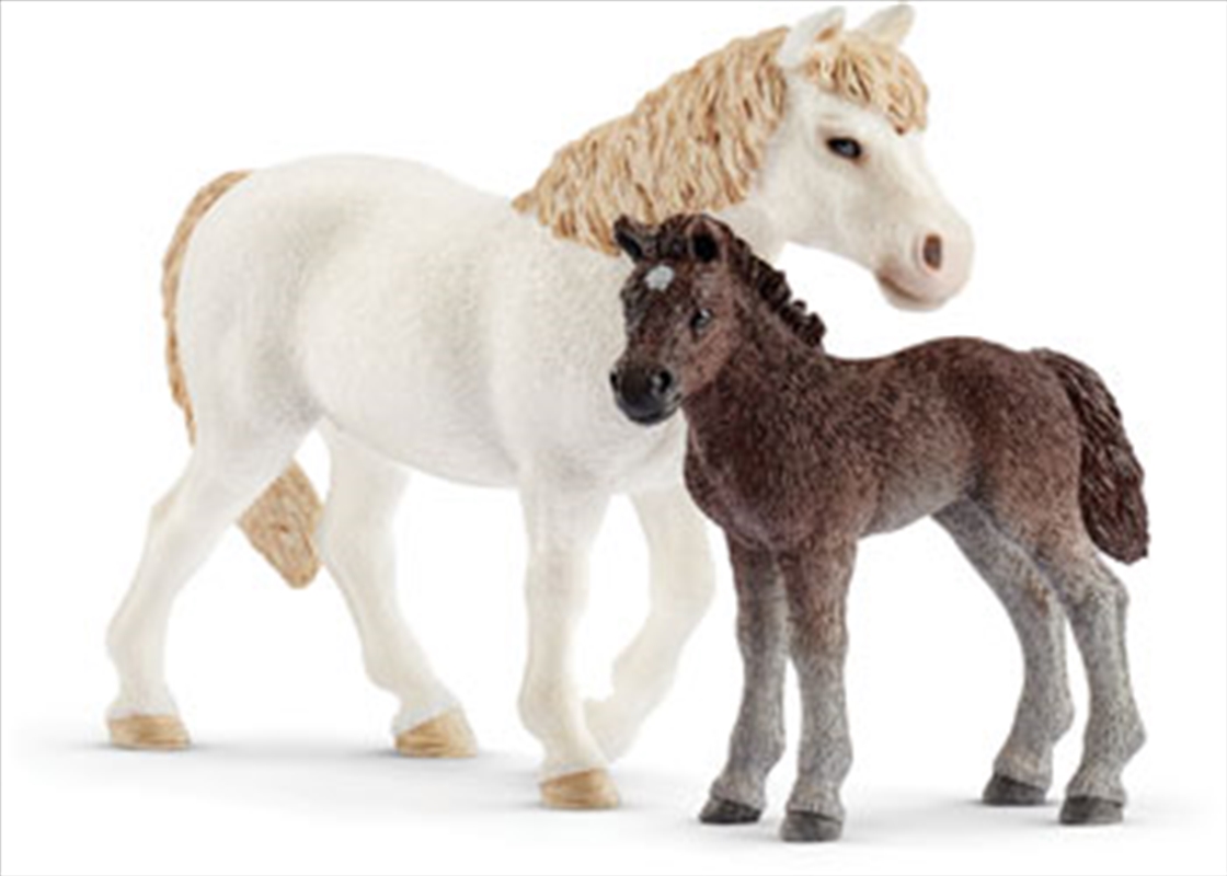 Buy Schleich Pony Mare And Foal Figure | Sanity