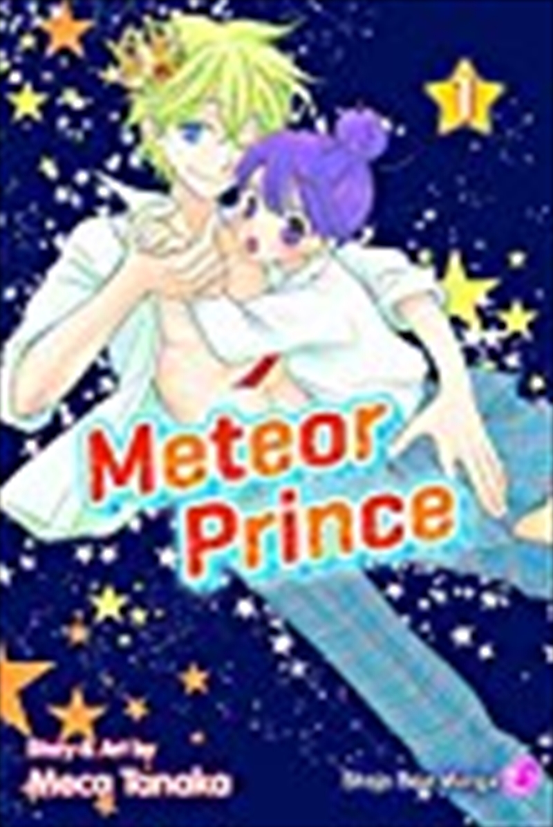 Buy Meteor Prince, Vol. 1 Online | Sanity