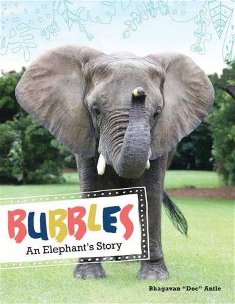Buy Bubbles Online | Sanity