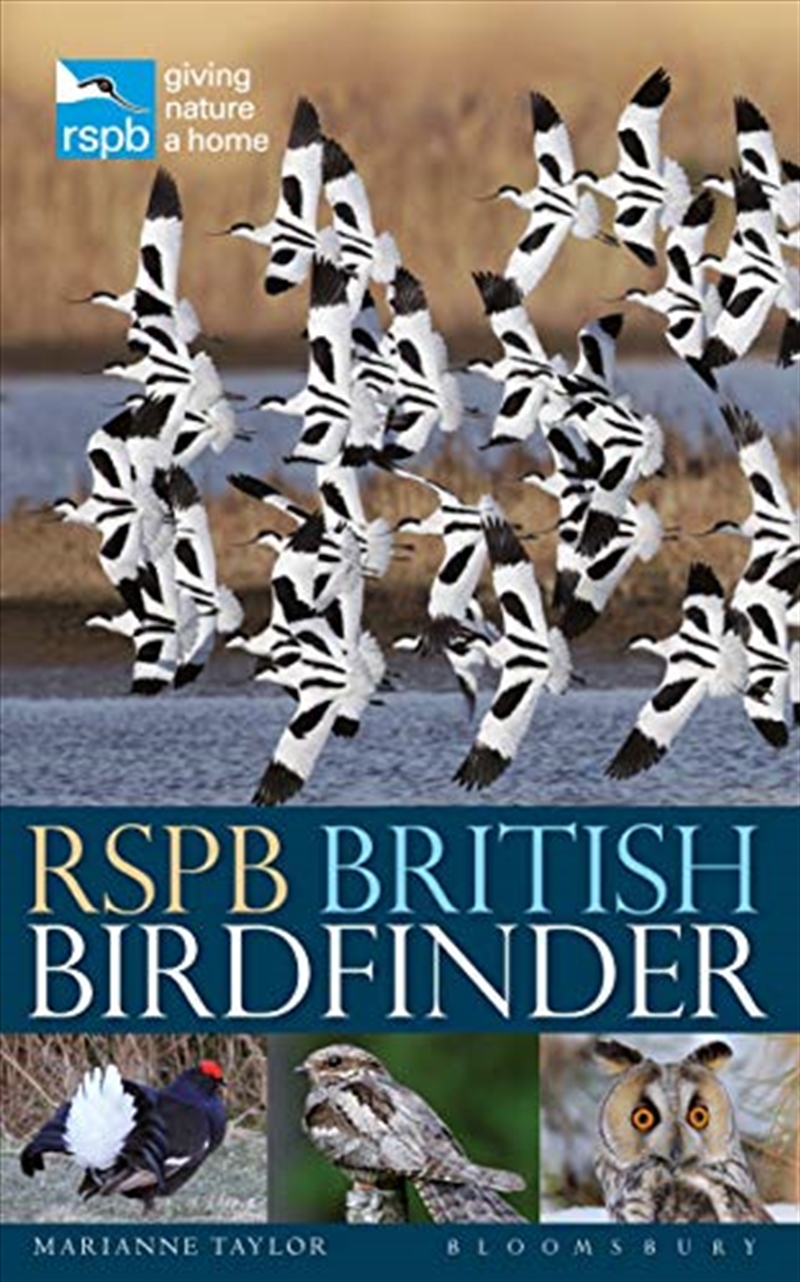 Buy RSPB British Birdfinder Online | Sanity
