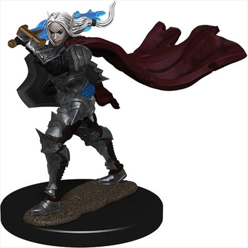 Pathfinder Half-Elf Ranger Female Figure - Buy Now | Sanity