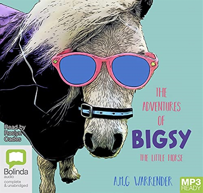 Buy The Adventures of Bigsy - The Little Horse Online | Sanity