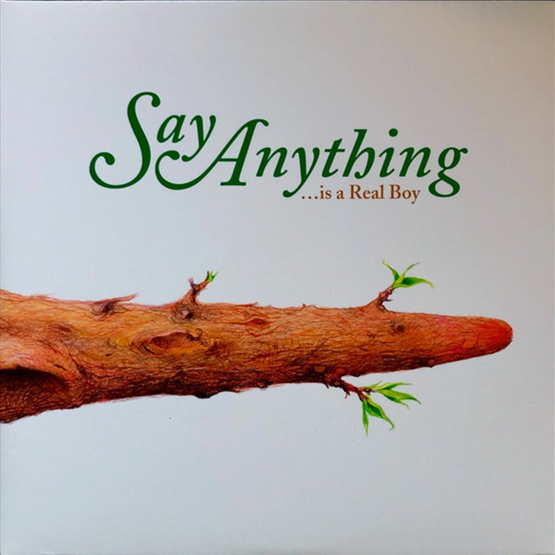 Buy Say Anything - Is A Real Boy on Vinyl | On Sale Now With Fast Shipping