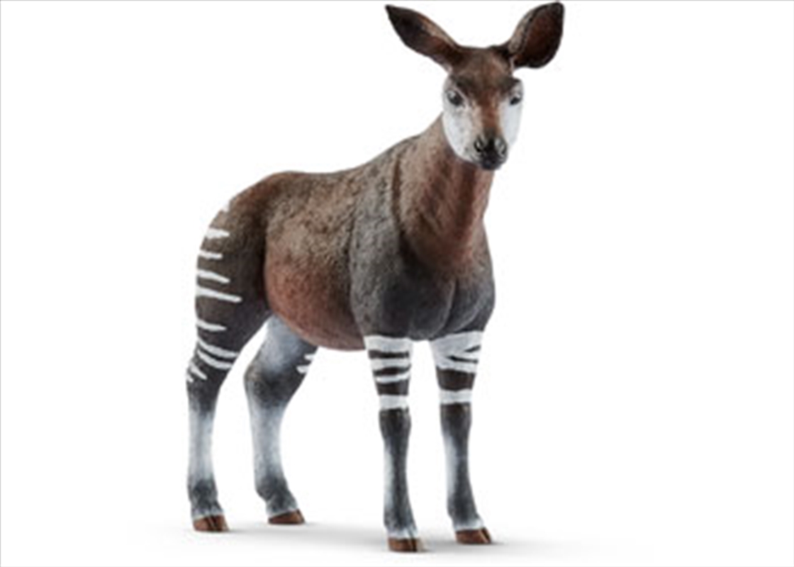 Buy Schleich Okapi Figure | Sanity