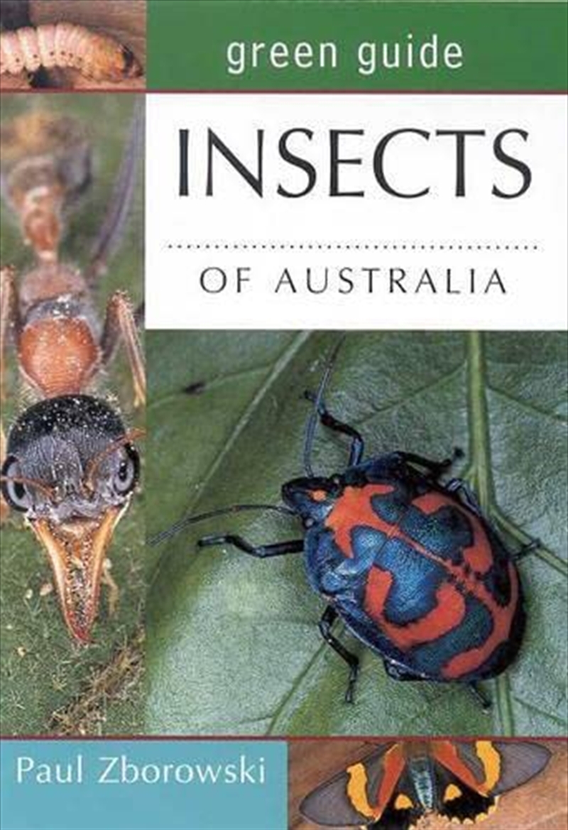 Buy Insects of Australia Online | Sanity