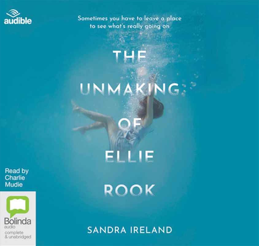 Sandra Ireland - The Unmaking of Ellie Rook - 9780655654025 | Sanity
