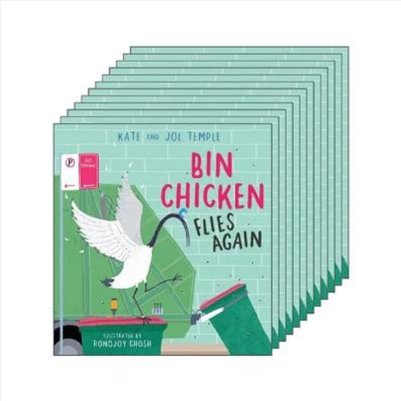 Buy Bin Chicken Flies Again 12-Copy Stock Pack Online | Sanity