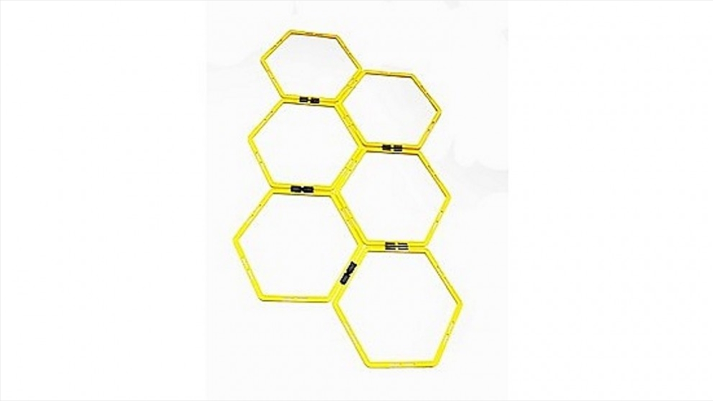 Buy Fitness Agility Grid System Online | Sanity