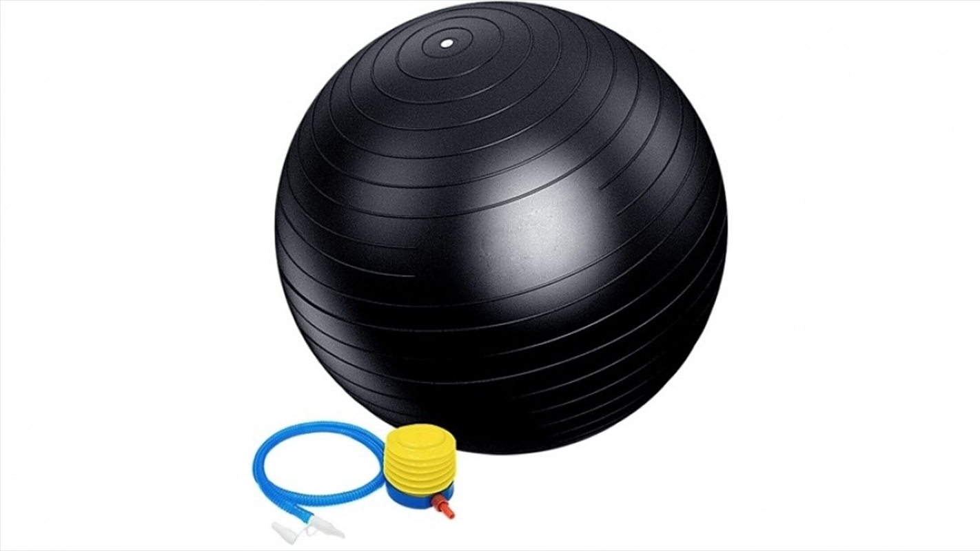 Buy 75cm Static Strength Exercise Stability Ball with Pump Online | Sanity