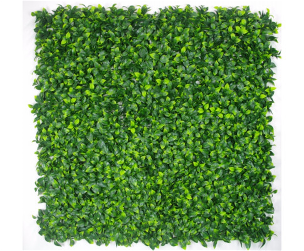 Buy Jasmine Leaf Screens / Panels UV Stabilised 1m X 1m Online | Sanity