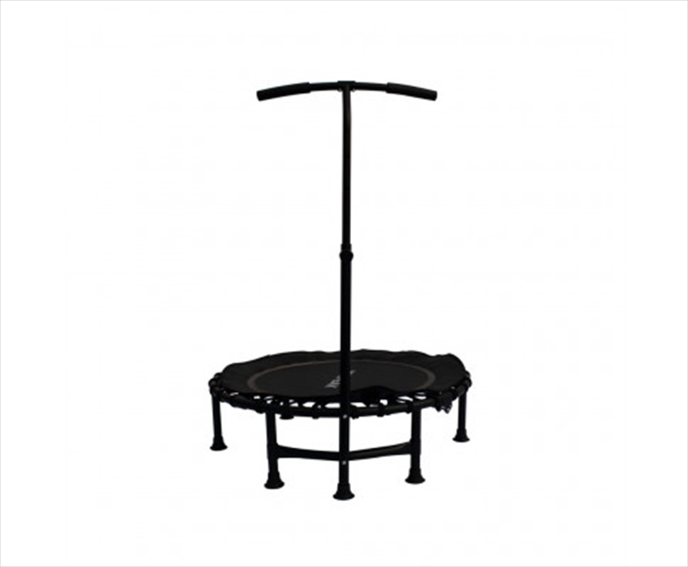 40" With T Shape Handrail | Sanity