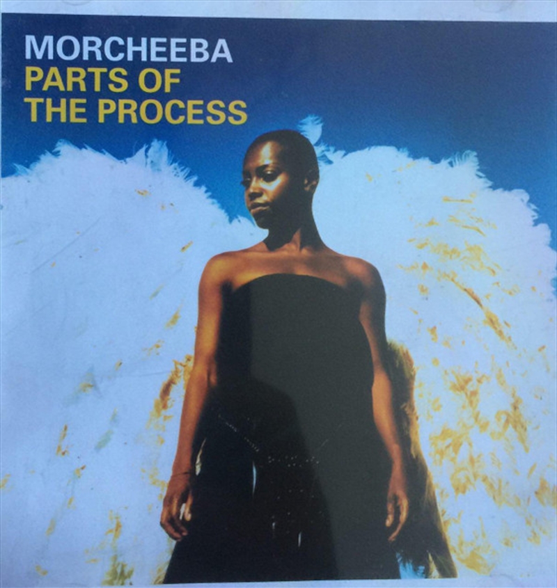 Buy Parts Of The Process Online | Sanity