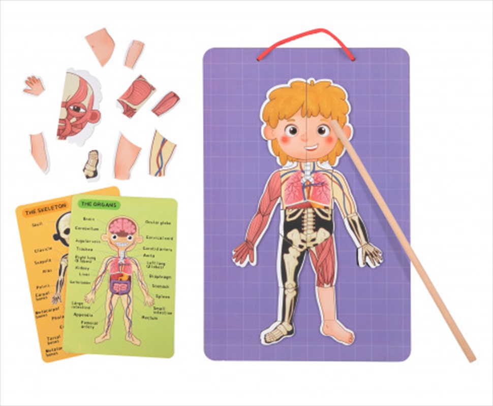Buy Magnetic Body Chart Online | Sanity