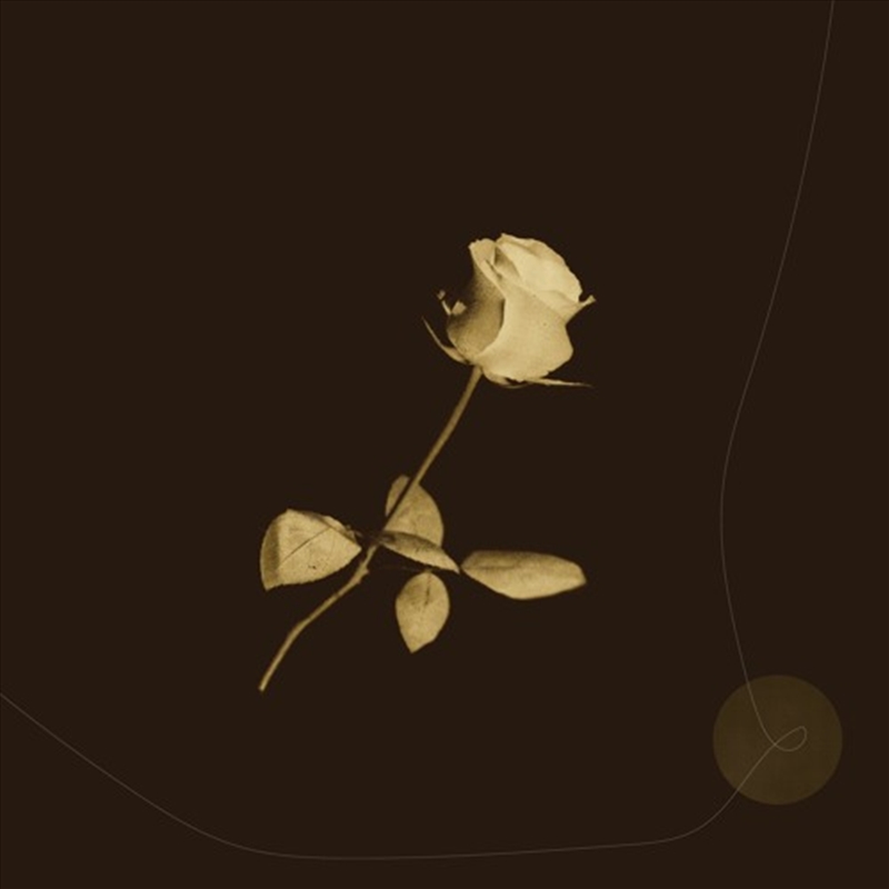 Buy Not One Not Two Online | Sanity