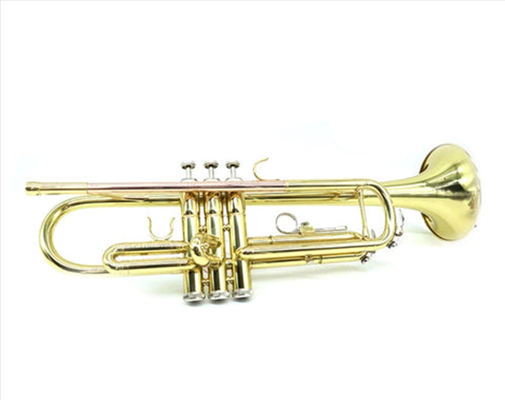 Buy Bb Trumpet Phosphorus Copper Student Intermediate Online | Sanity
