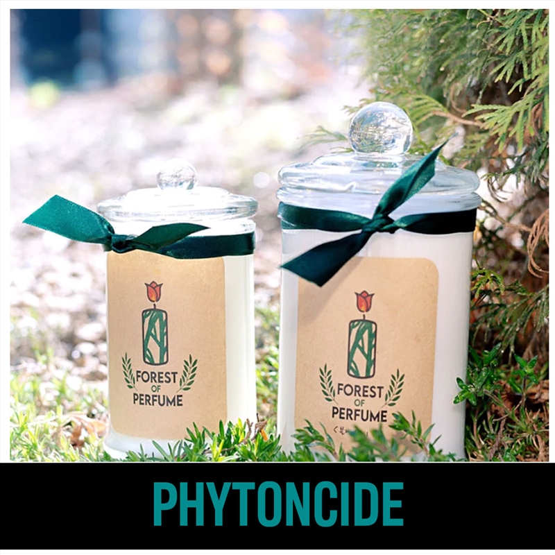 Buy Forest Of Perfume - Phytoncide: Large Online | Sanity