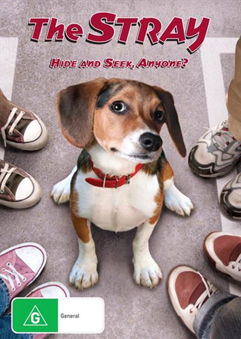 Buy Stray on DVD | Sanity