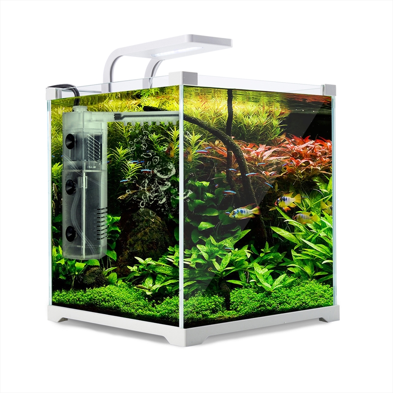 Buy Dynamic Power Aquarium Fish Ta Online | Sanity