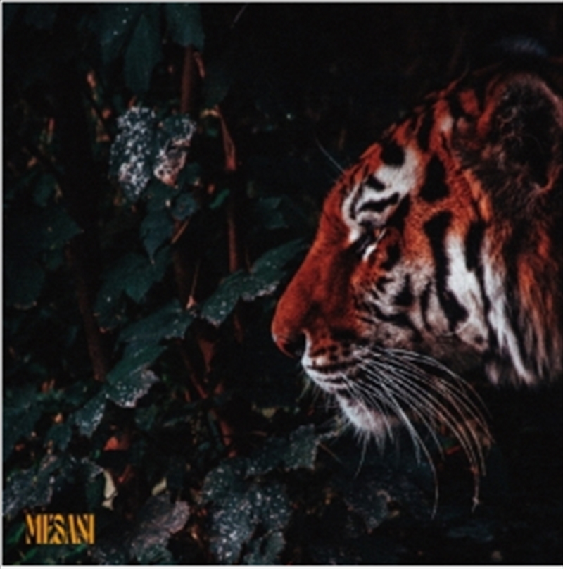 Buy Jungle Ep And Singles Online | Sanity