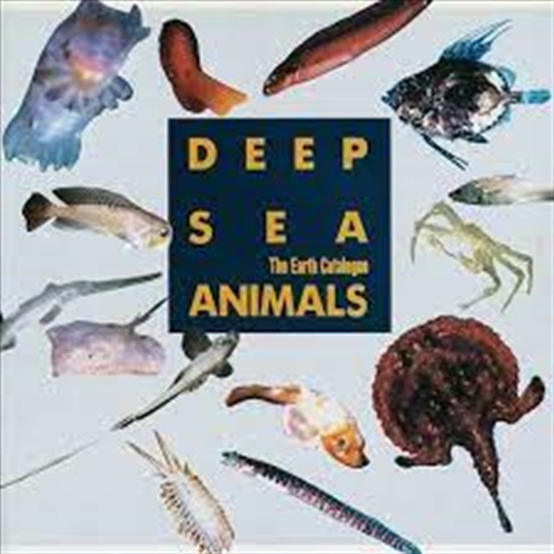 Soundtrack - Deep Sea Creatures Original Soundtrack | Sanity